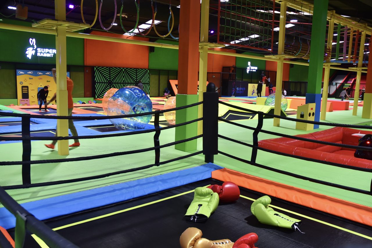 INSTALACIONES - Super Rabbit Palma